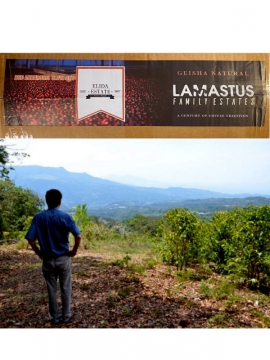 Roastmasters.com: Panama Elida Estate Catuai Natural