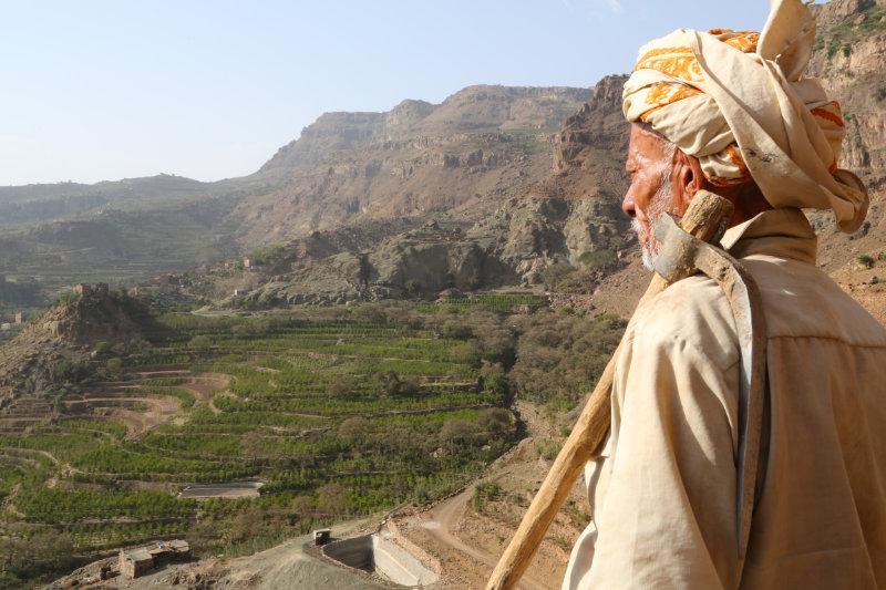 Roastmasters.com: Yemen Port of Mokha Microlot