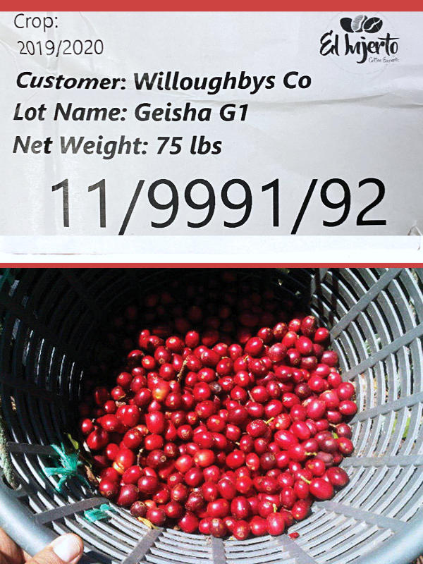 Roastmasters.com: Guatemala El Injerto Legendary Geisha